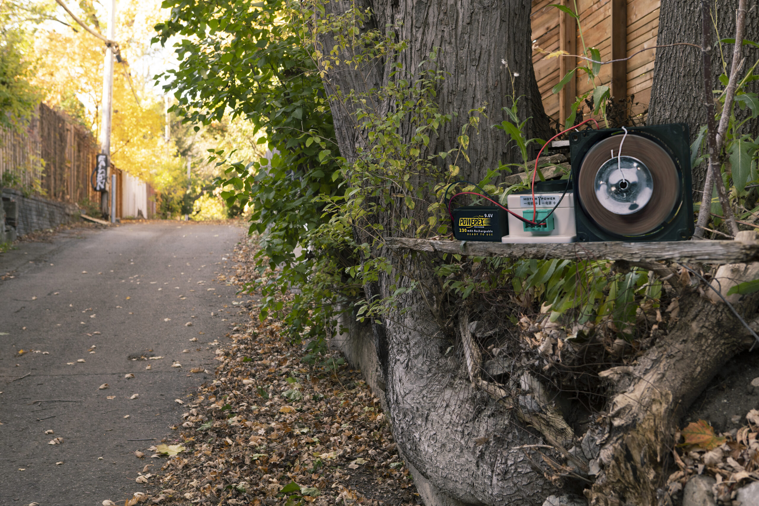 Elizabeth Millar et Allison Moore - L'Œil de Poisson